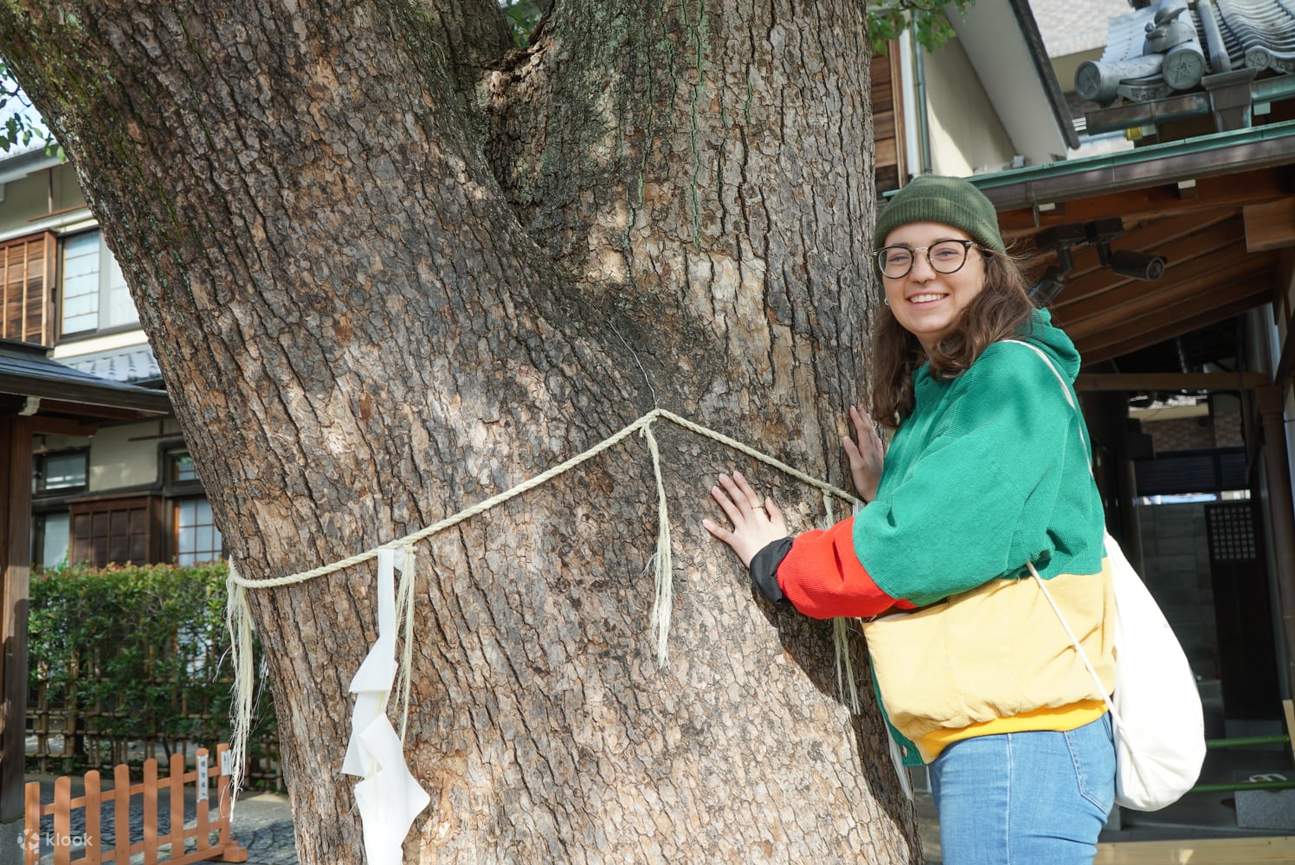 Kyoto Historical Highlights Cycling Tour with World Heritage Zen Tem - Klook Singapore